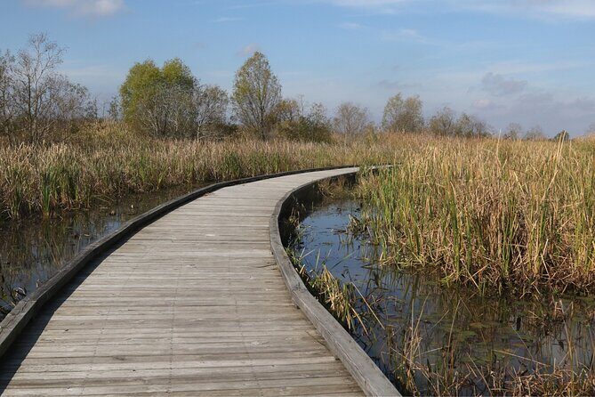 Self-Guided Audio Driving Tour in Creole Nature Trail - Using the Tour: Practical Tips