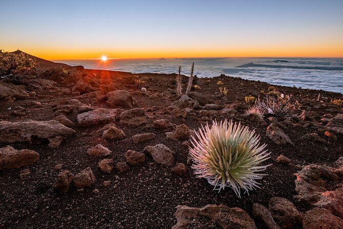 Self-Guided Audio Driving Tour in Haleakala - Why This Tour Offers Great Value