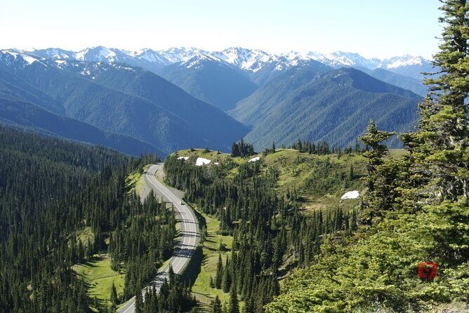 Self-Guided Audio Driving Tour in Olympic National Park - Final Thoughts: Who Will Love This Tour?