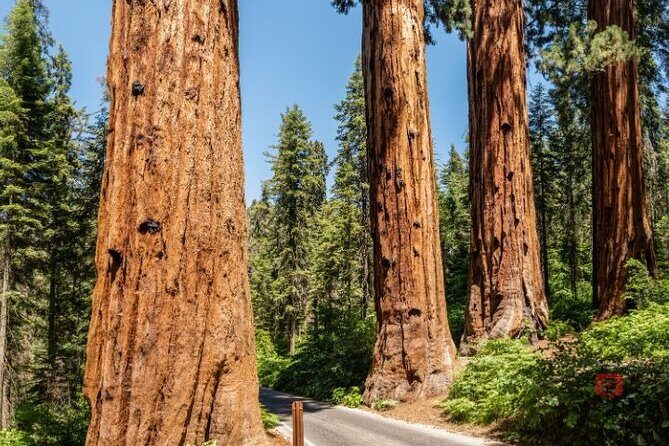 Self-Guided Audio Driving Tour in Sequoia and Kings Canyon - The Itinerary: What You’ll See and Experience