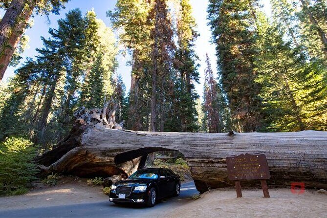 Self-Guided Audio Driving Tour in Sequoia and Kings Canyon - Who Will Love This Tour?