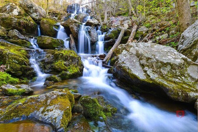 Self-Guided Audio Driving Tour in Shenandoah National Park - The Sum Up