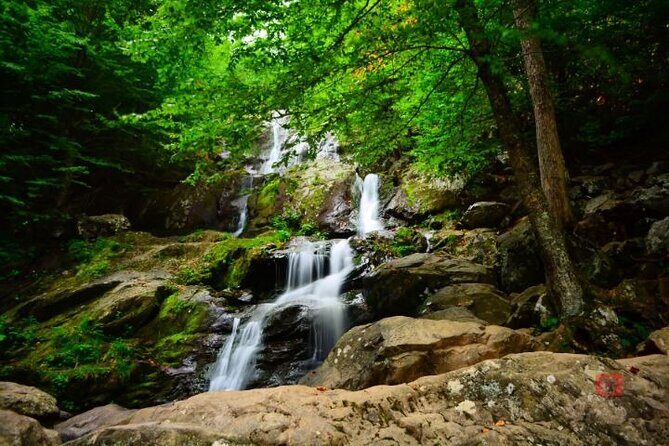 Self-Guided Audio Driving Tour in Shenandoah National Park - FAQ