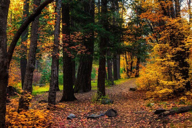 Self-Guided Audio Driving Tour of Mount Lemmon - Practical Tips for Your Drive