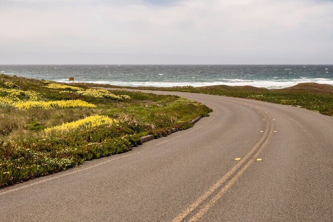 Self-Guided Audio Driving Tour of Point Reyes National Seashore - An In-Depth Look at the Tour