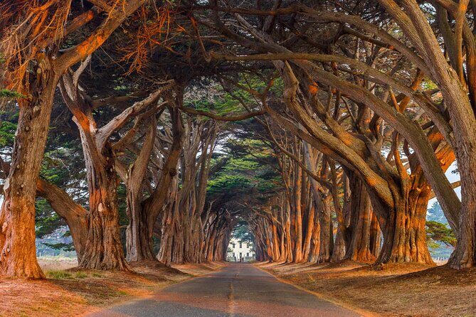 Self-Guided Audio Driving Tour of Point Reyes National Seashore - What Travelers Say