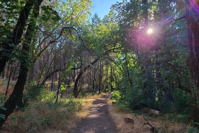 Self-Guided Audio Driving Tour of Sonoma and Napa Valley - Who Should Consider This Tour?