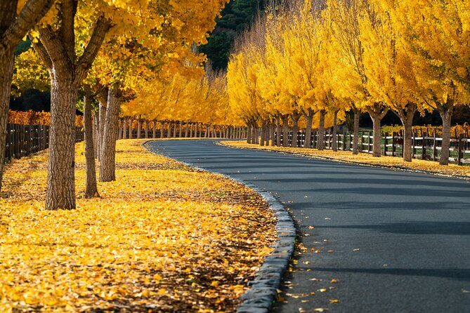 Self-Guided Audio Driving Tour of Sonoma and Napa Valley - FAQ