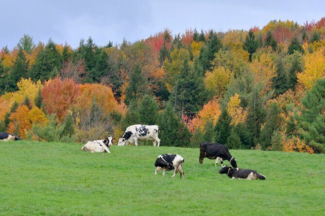 Self-Guided Audio Driving Tour of Vermont, RT100 Scenic Byway - The Sum Up: Is It Worth It?