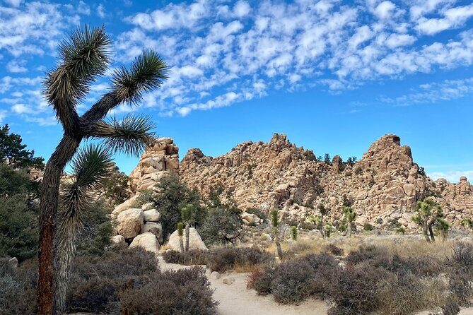 Self Guided Audio Tour of Joshua Trees Hidden Valley Trail - FAQ