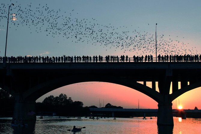 Self-Guided Austin Scavenger Hunt: Birds, Bats, BBQ and Bass - Who Will Love This Tour?