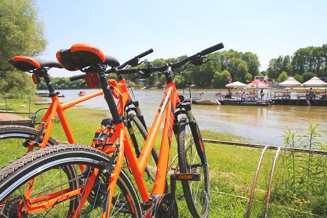 Self-guided Bicycle Tour to Szentendre and return by boat - Overview of the Experience