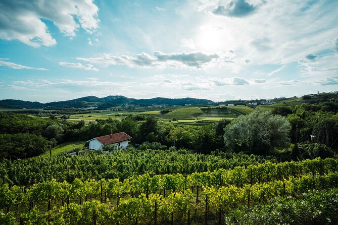 Self-Guided Bike Tour in Slovenia - Meeting and Pickup