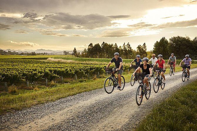 Self-Guided Biking Wine Tour (full day) in the Marlborough Region. - Key Points