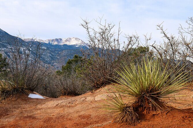 Self Guided Driving and Walking Tour in Garden of the Gods - Who Should Book?