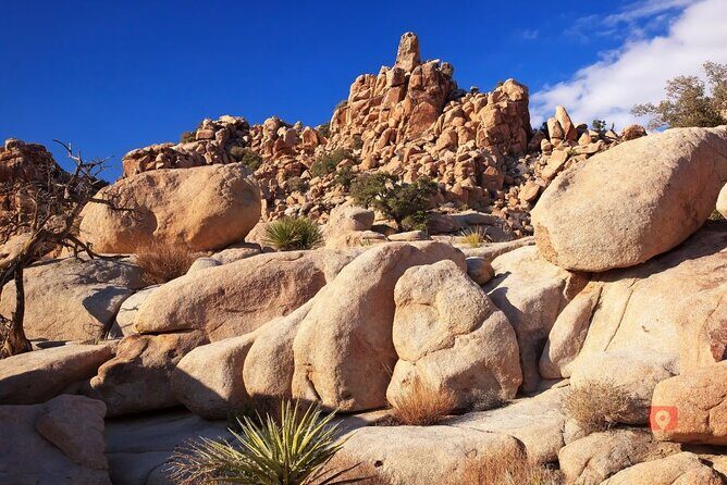 Self-Guided Driving Audio Tour in Joshua Tree National Park - Frequently Asked Questions