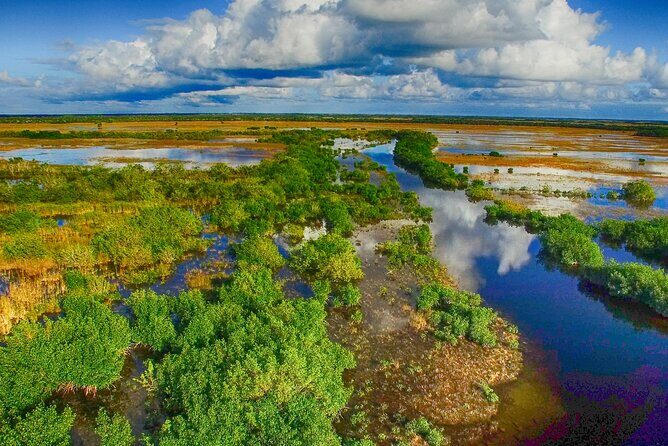 Self Guided Driving Audio Tour of Everglades National Park - The Practical Side: What to Expect