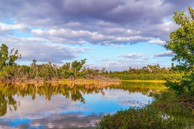 Self Guided Driving Audio Tour of Everglades National Park - Final Thoughts: Is It Worth It?