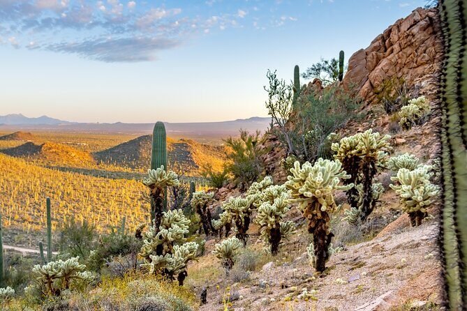 Self Guided Driving Audio Tour of Saguaro National Park - The Practicalities