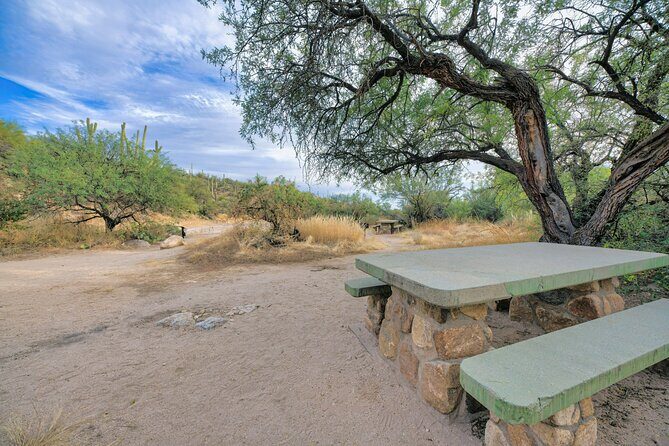 Self Guided Driving Audio Tour of Saguaro National Park - Real-World Insights from Reviews
