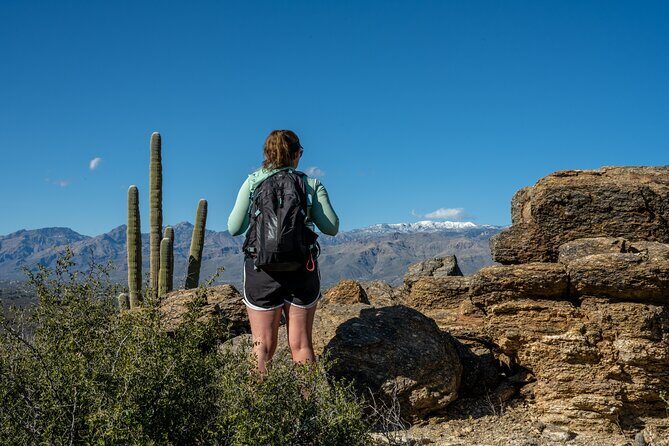 Self Guided Driving Audio Tour of Saguaro National Park - Why This Tour Might Be Worth It