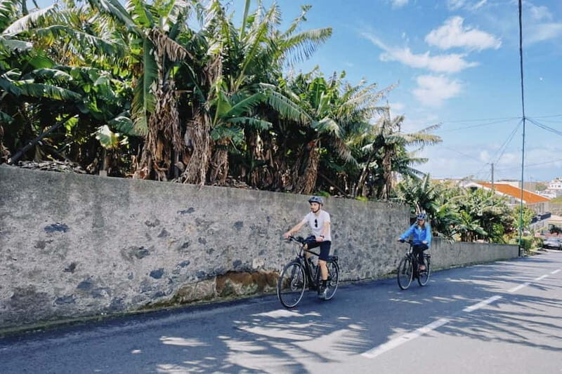 "Self-Guided" E-Bike Road Tour - Funchal to Câmara de Lobos - The Verdict: Who Should Consider This Tour?