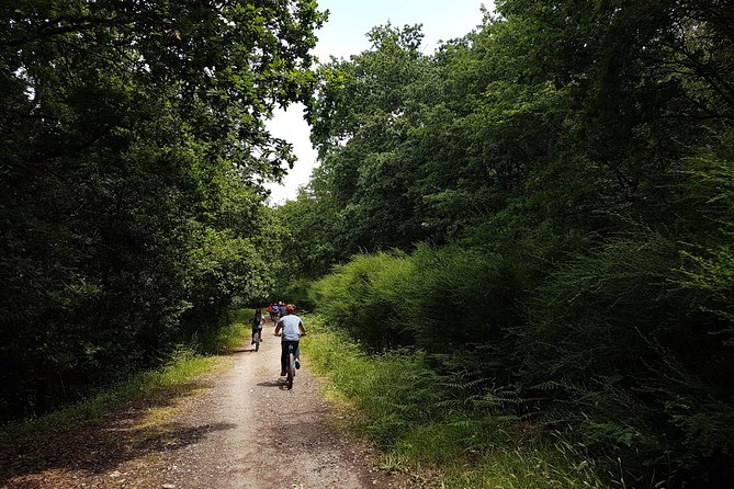Self Guided E-Bike Tour: Camino de Santiago - Key Points