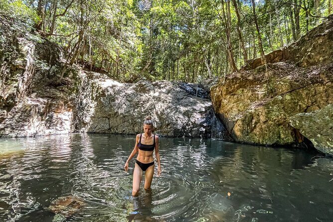 Self Guided E Bike Tour - Unicorn Falls, Rainforest & Rail Trail - An In-Depth Look at the Unicorn Falls E-Bike Tour