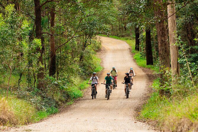 Self Guided E Bike Tour - Unicorn Falls, Rainforest & Rail Trail - Final Thoughts