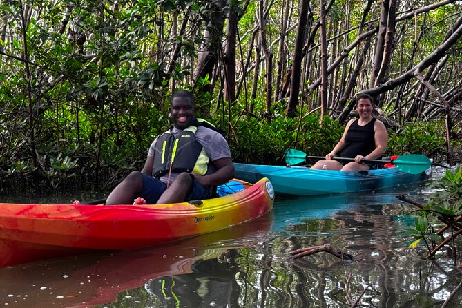 Self Guided EcoTour: Clear/Standard Kayaks -Bonita Springs - Introduction: What to Expect from the Bonita Springs Kayak EcoTour