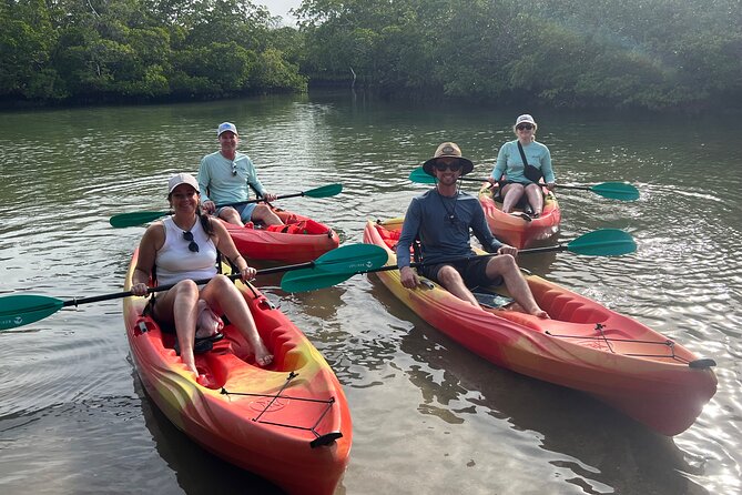 Self Guided EcoTour: Clear/Standard Kayaks -Bonita Springs - Analyzing the Experience: What Makes This Kayak Tour Special?