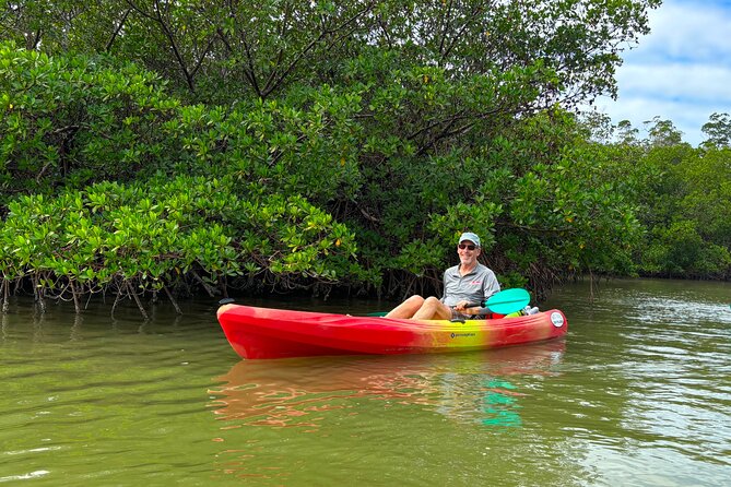 Self Guided EcoTour: Clear/Standard Kayaks -Bonita Springs - Who Will Love This Tour?
