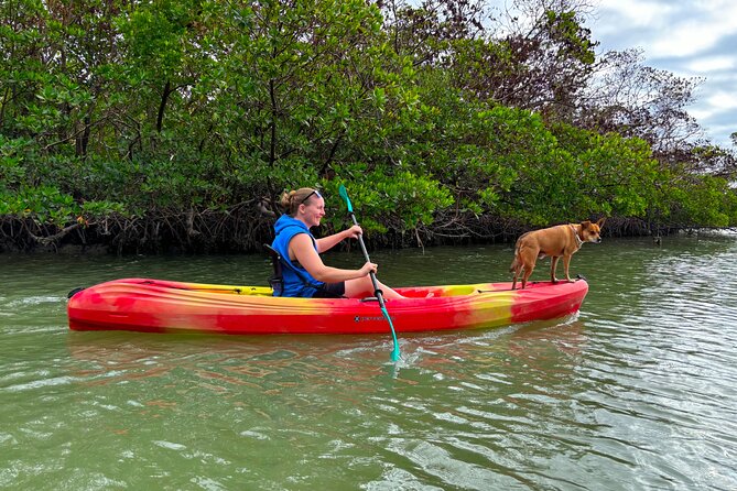 Self Guided EcoTour: Clear/Standard Kayaks -Bonita Springs - Final Thoughts: Why This EcoTour is a Smart Choice