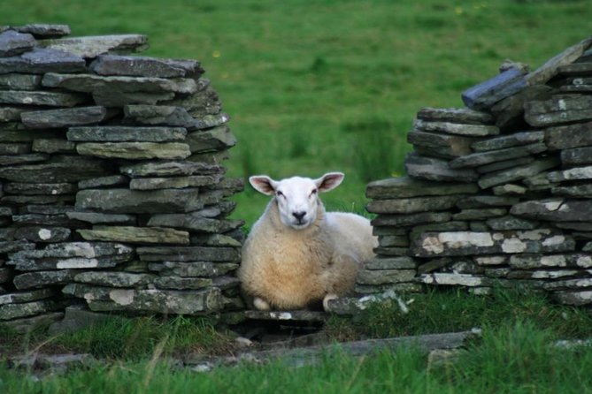 Self Guided Electric Bike Tour of Historical Sites in the Burren Co Clare - Exploring the Burrens Historical Landmarks
