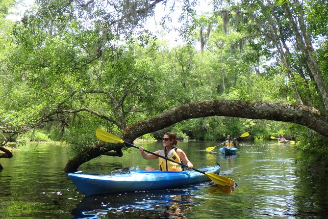 Self Guided Family Friendly Kayak Rental Experience Old Florida - Tour Details and Activities