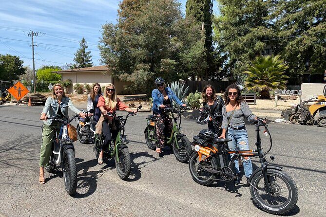 Self Guided Full Day E-bike Rental With Picnic Lunch - Who Should Book This Experience?