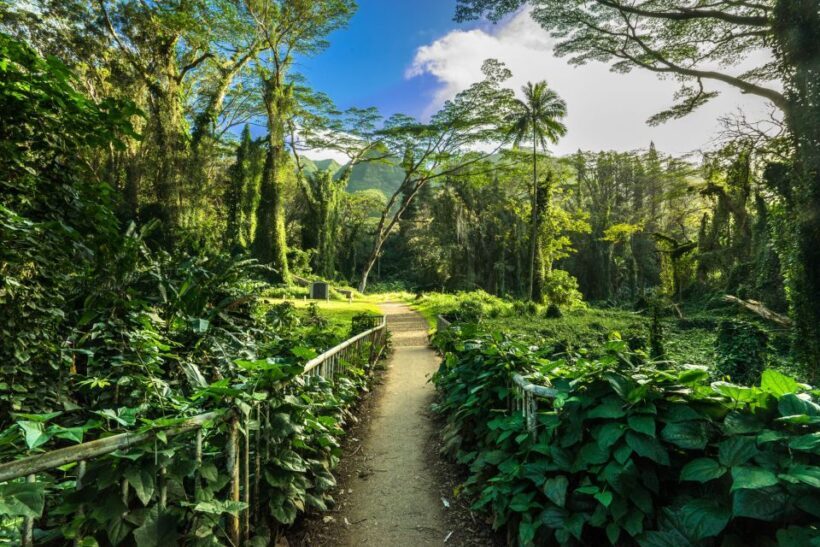 Self Guided Hike Trail to Nature Walk & Waterfall - Key Points