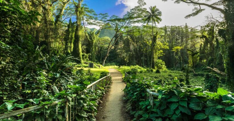 Self Guided Hike Trail to Nature Walk & Waterfall - A Closer Look at the Experience