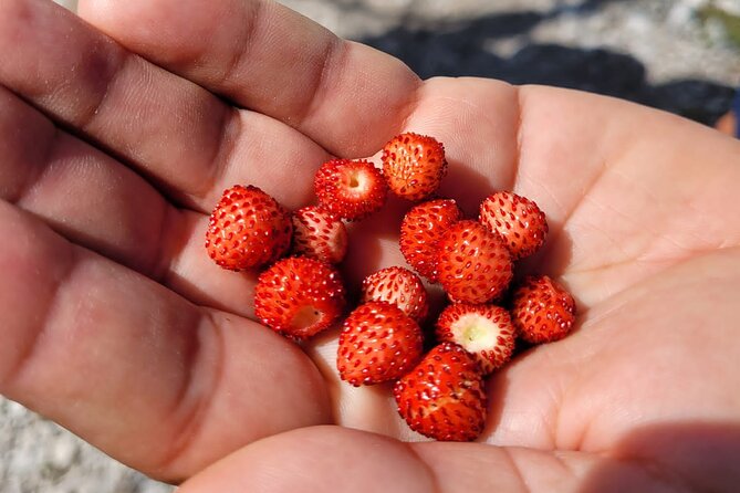 Self-Guided Hiking Tour: Theth, Valbona & Koman Lake in 3 Days - Booking and Cancellation Policies