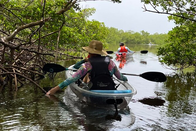Self-Guided Island Tour: CLEAR/Standard Kayak, SUP-Bonita Springs - Meeting Point and Accessibility