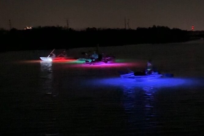 Self-Guided Island Tour: CLEAR/Standard Kayak, SUP-Bonita Springs - Spotting Marine Wildlife