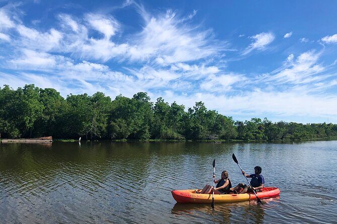 Self Guided Kayak Bayou Swamp Tour - Exploring the Self-Guided Kayak Bayou Swamp Tour: A Detailed Review
