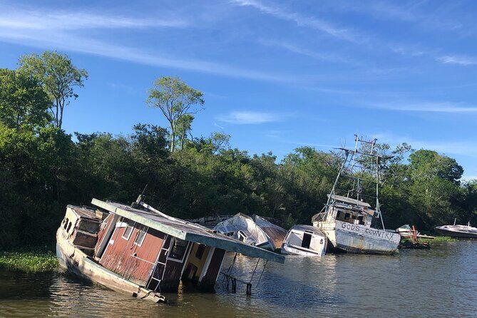 Self Guided Kayak Bayou Swamp Tour - What Travelers Say: Authentic Perspectives