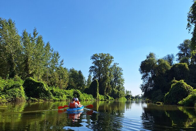 Self-Guided Kayak Tour in Belgrade - Exploring the Danube River