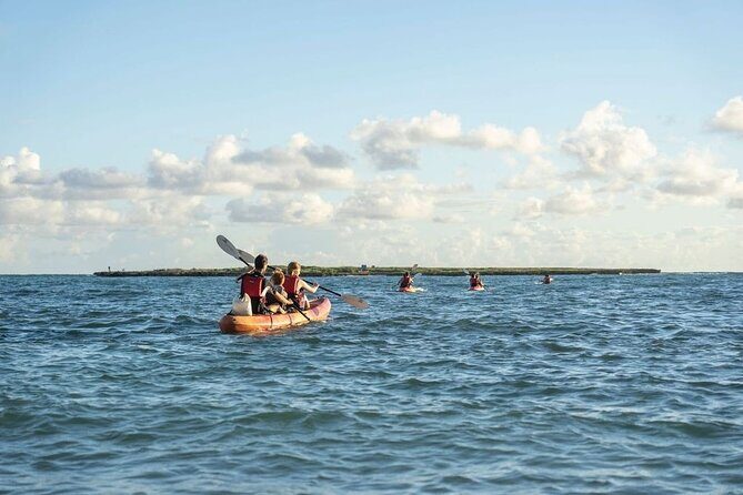 Self-Guided Kayaking Tour in Kailua Bay and Popoia Island - Who Is This Tour Best Suited For?