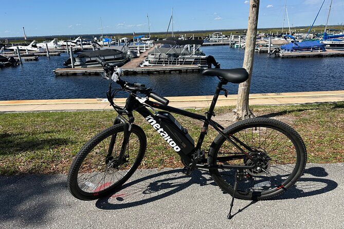Self Guided Lakefront Tour on Electric Bike in Kissimmee (3 hrs.) - Why This Tour Is a Great Choice
