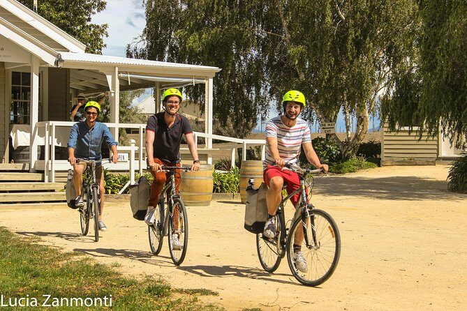 Self Guided Martinborough Wineries Bike Tour - Key Points