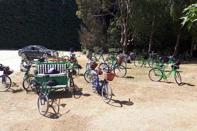 Self Guided Martinborough Wineries Bike Tour - Why Choose the Self-Guided Martinborough Wineries Bike Tour?