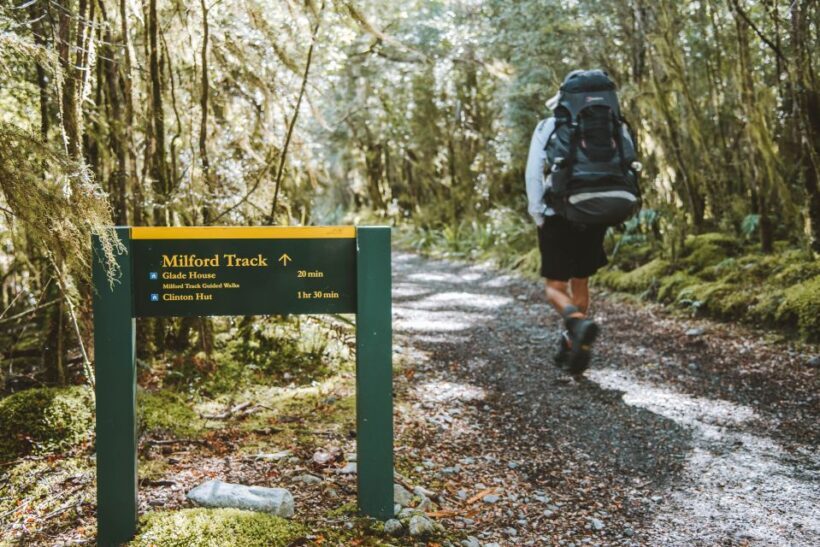 Self-Guided Milford Track Day Walk from Lake Te Anau - Real Traveler Perspectives