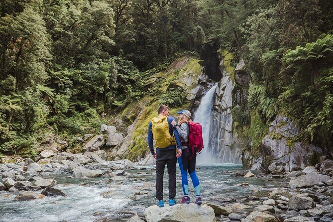 Self-Guided Milford Track Day Walk - Milford Sound - A Deep Dive into the Milford Track Self-Guided Walk